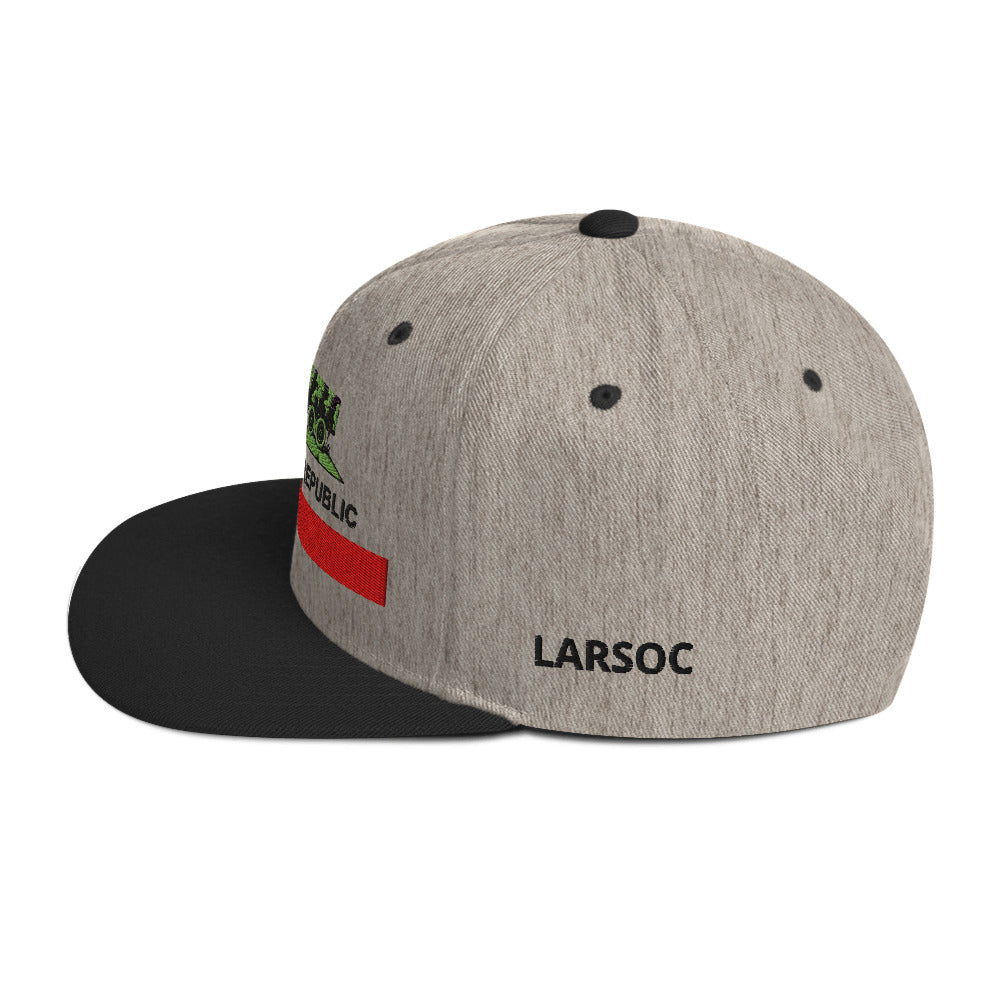 MOTOR-TUH REPUBLICK SNAPBACK HAT – LARSOC REPUBLIC