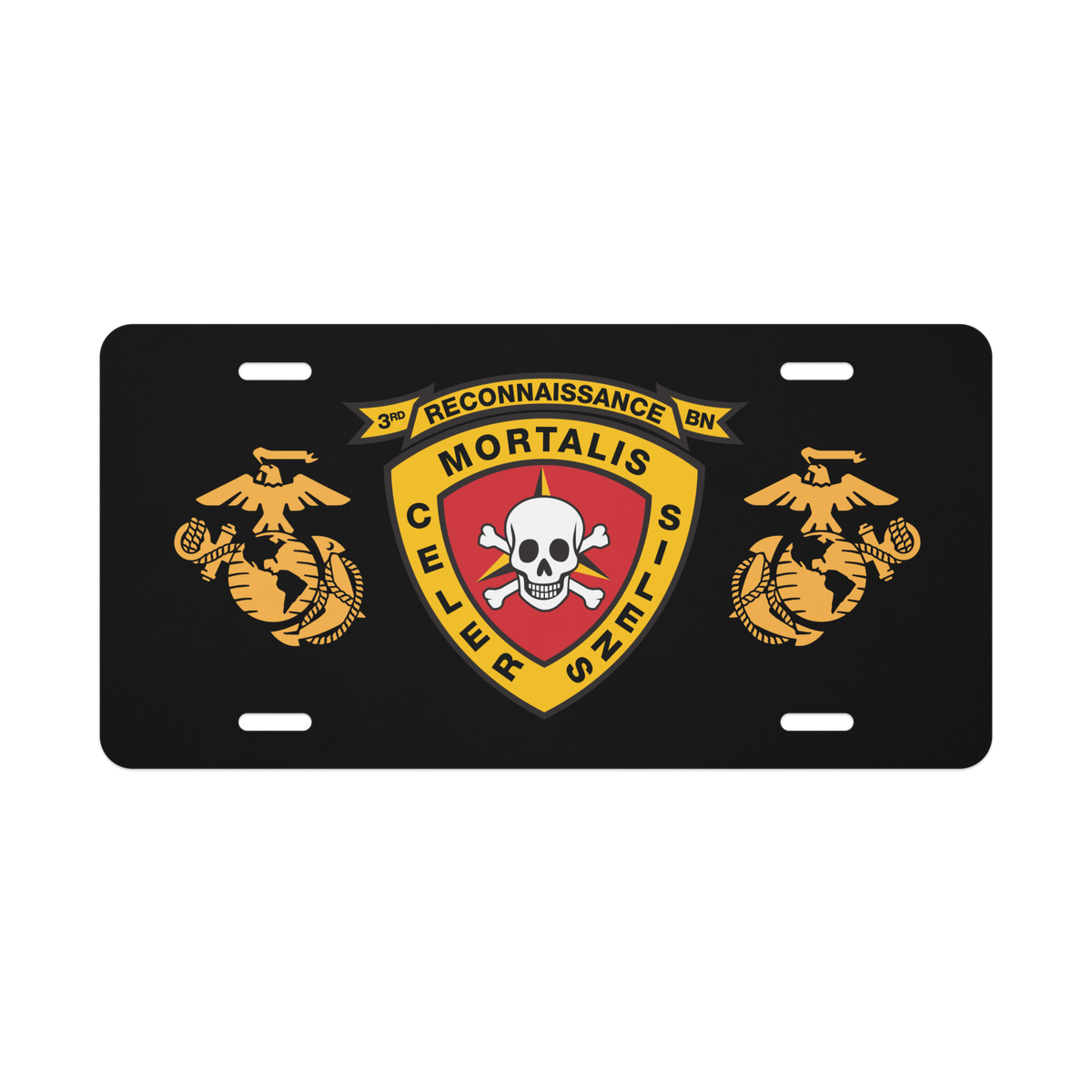 3RD RECON BN VANITY PLATE – LARSOC REPUBLIC